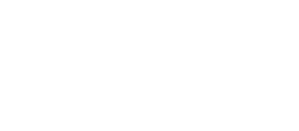 About ALSAA: Our History, Vision and Community